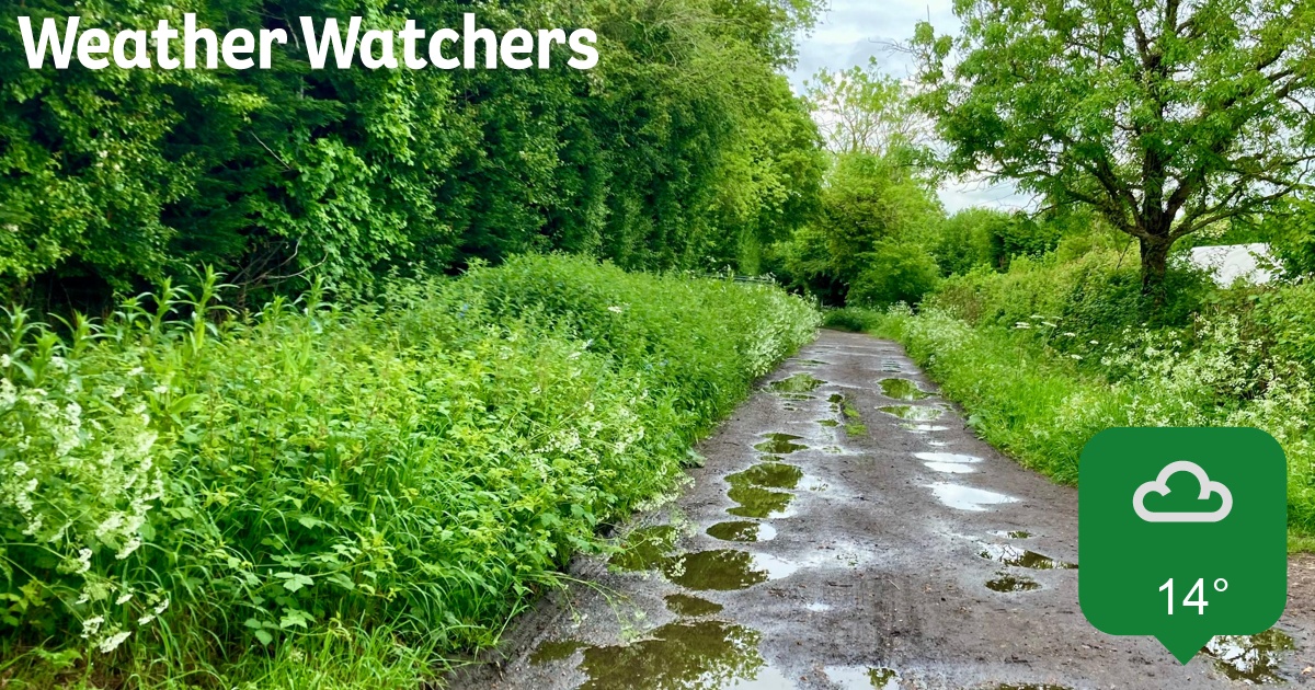 Report - BBC Weather Watchers