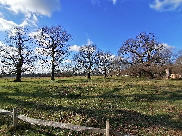 Romford - BBC Weather