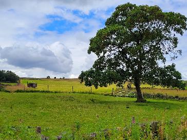 Hatfield - BBC Weather