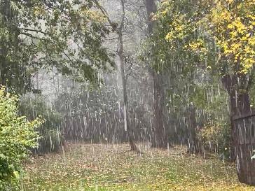 Nuneaton - BBC Weather