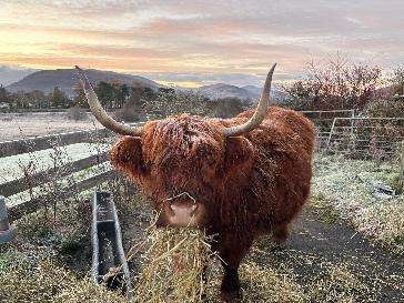 Glencoe - BBC Weather