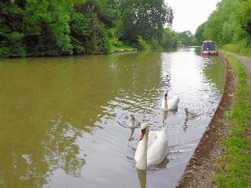 Coventry - BBC Weather
