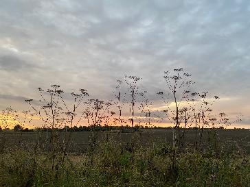 Bedford - BBC Weather