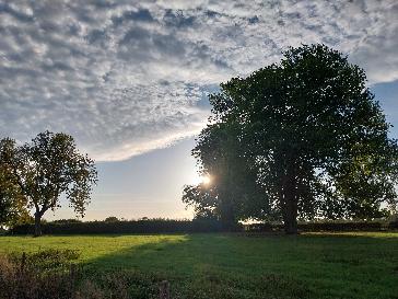 Hinckley - BBC Weather