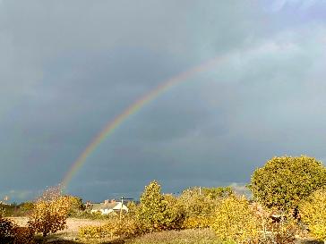 Basildon - BBC Weather