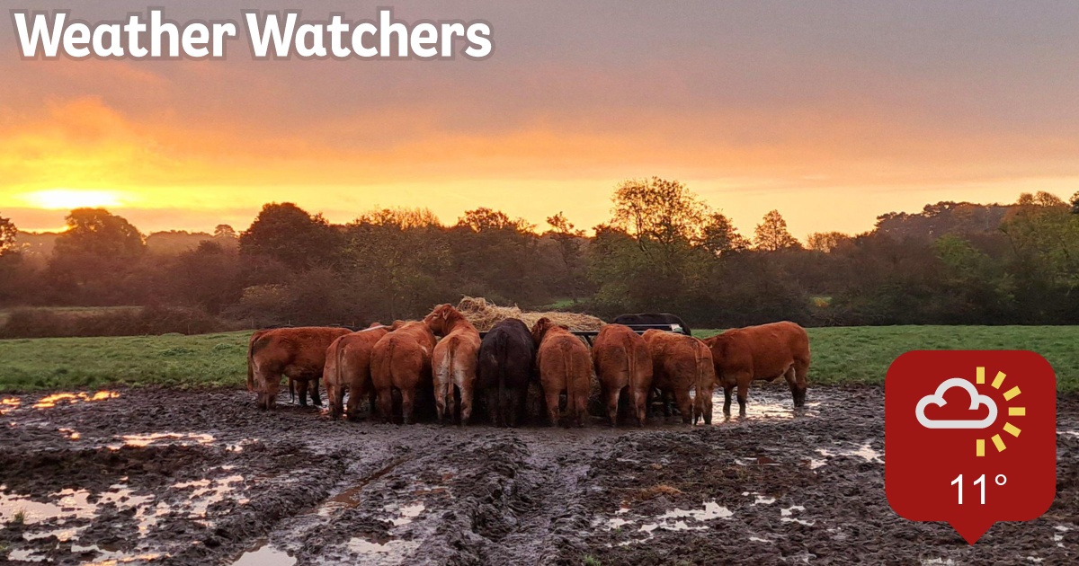 Report - BBC Weather Watchers