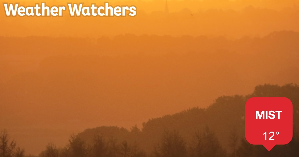 Report - BBC Weather Watchers