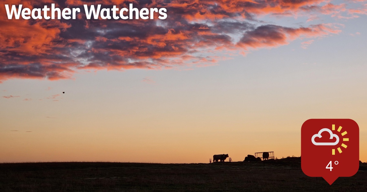 Report - BBC Weather Watchers