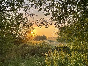 Portishead - BBC Weather