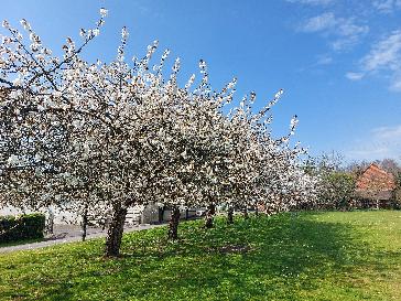 Basingstoke - BBC Weather