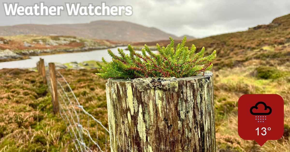 Report - BBC Weather Watchers