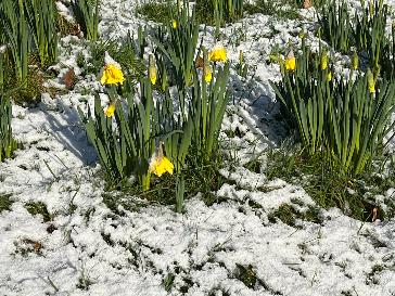 Evesham - BBC Weather