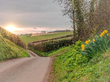 Banwell Castle - BBC Weather