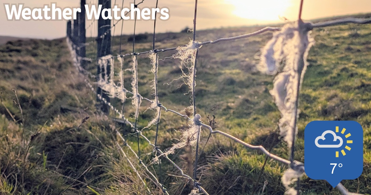 Report - BBC Weather Watchers