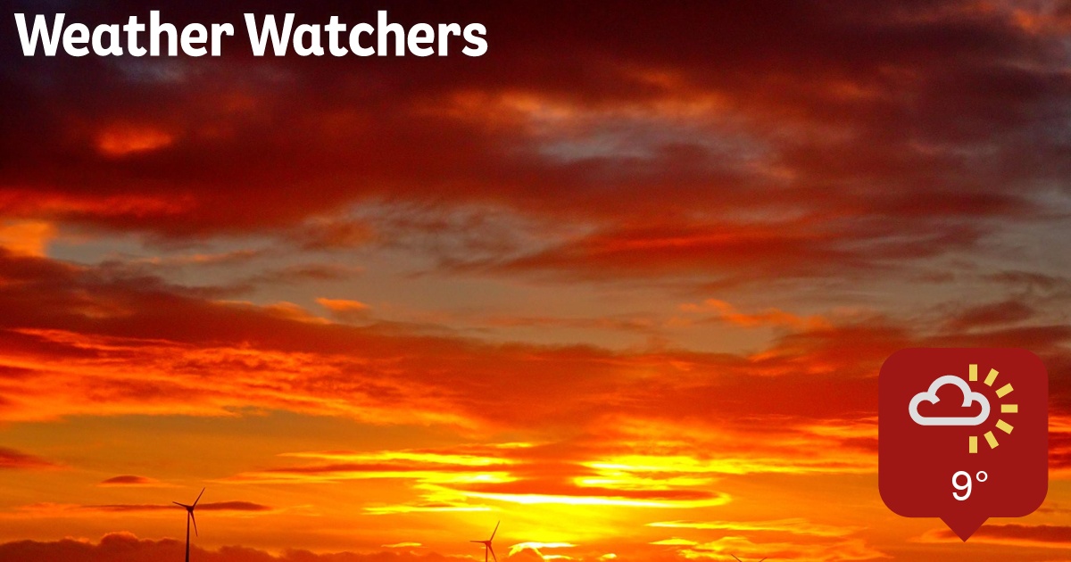 Report - BBC Weather Watchers
