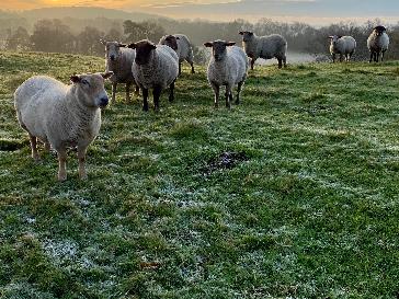 Southampton - BBC Weather