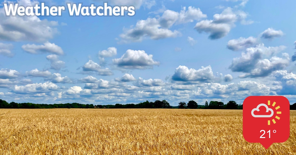 Report - BBC Weather Watchers