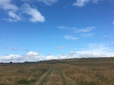 Telford - BBC Weather