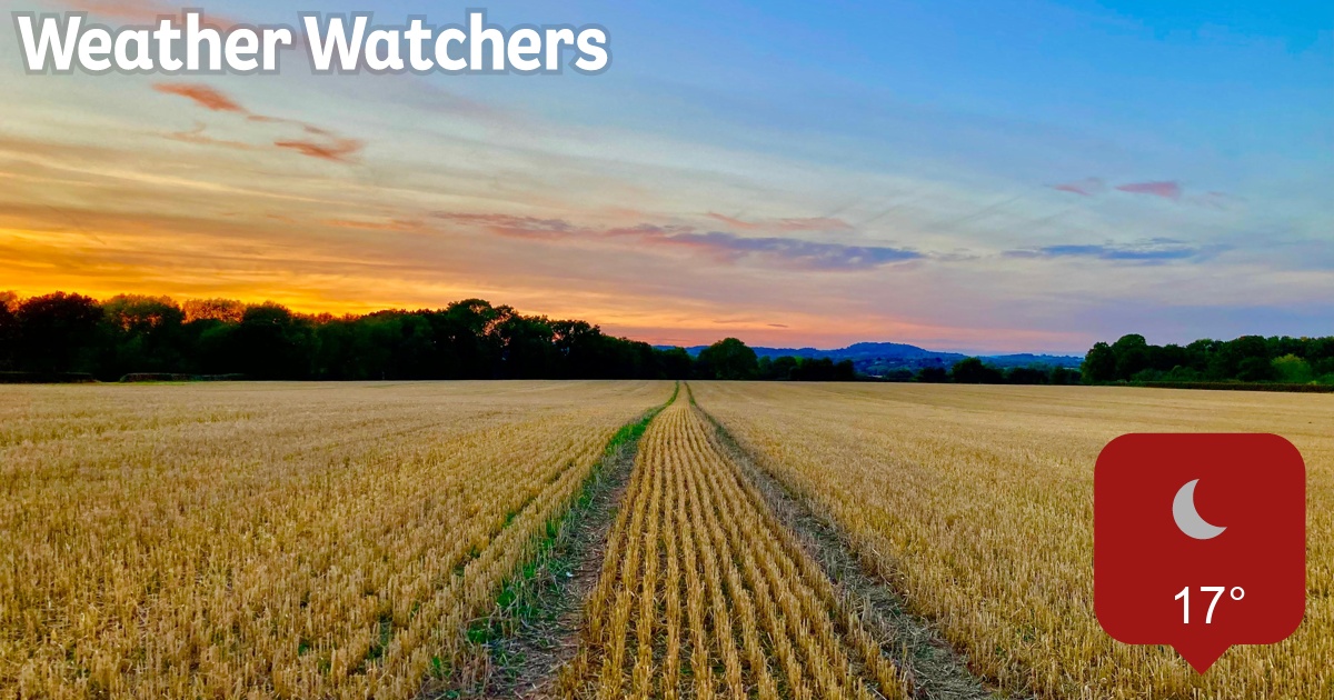 Report - BBC Weather Watchers