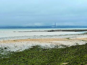 Downpatrick - BBC Weather