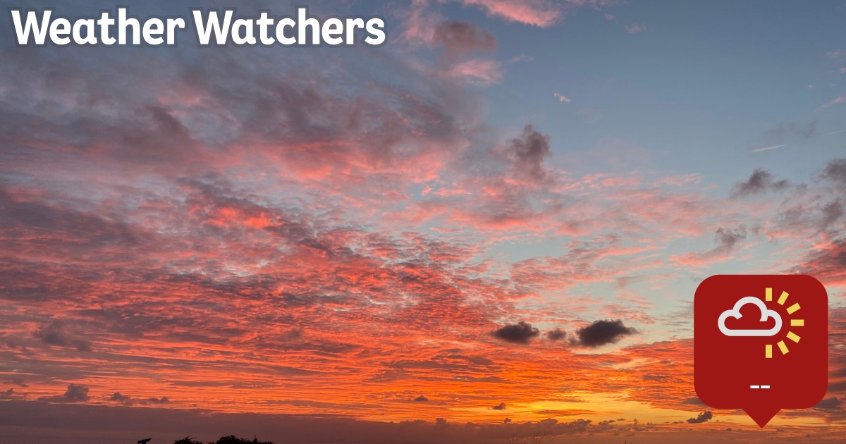 Report - BBC Weather Watchers