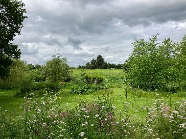 Staines-upon-Thames - BBC Weather