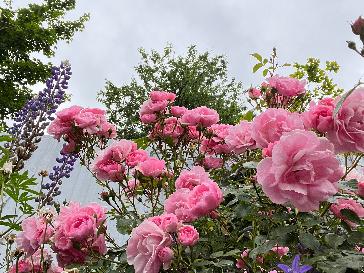 Cardiff - BBC Weather