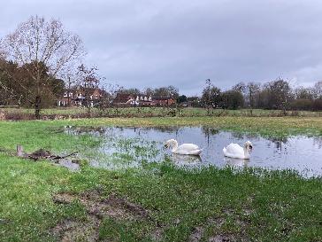 Chippenham - BBC Weather