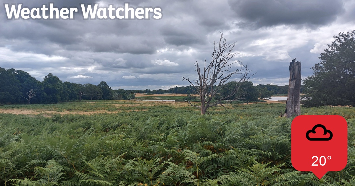 Report - BBC Weather Watchers