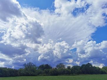 Alcester - BBC Weather