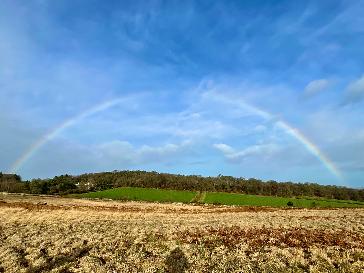 Worksop - BBC Weather