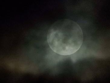 Stevenage - BBC Weather