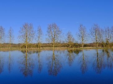 Witham - BBC Weather