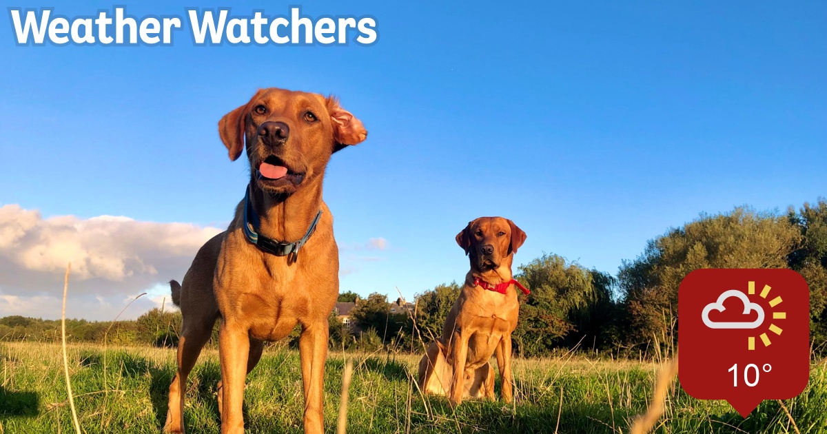 Report - BBC Weather Watchers