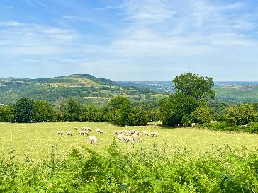 Cardiff - BBC Weather