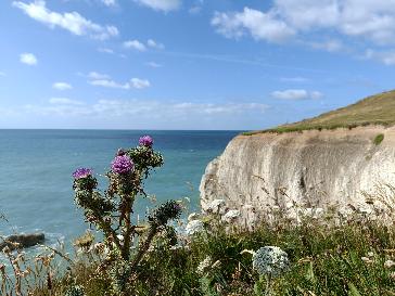 Farnborough - BBC Weather
