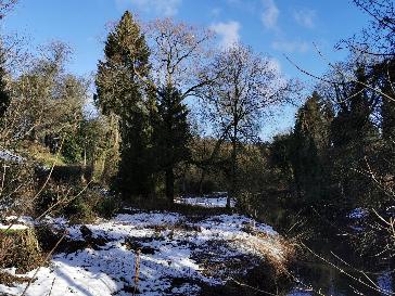 Solihull - BBC Weather