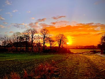 Sutton - BBC Weather