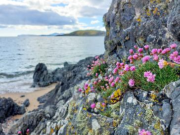 Hamilton - BBC Weather