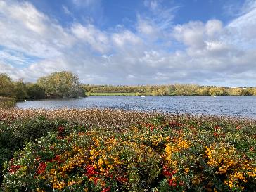 Hitchin - BBC Weather