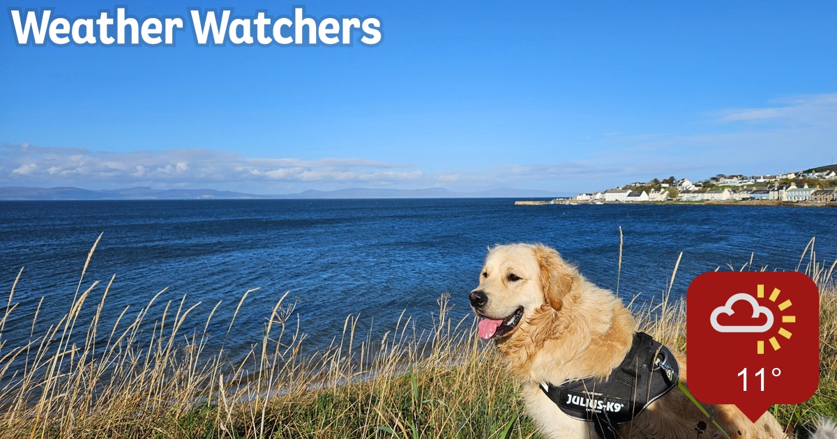 Report - BBC Weather Watchers