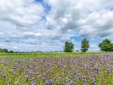 Stevenage - BBC Weather