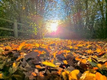 Mildenhall - BBC Weather