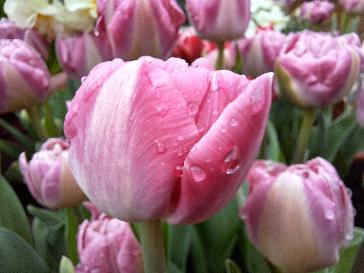 Evesham - BBC Weather