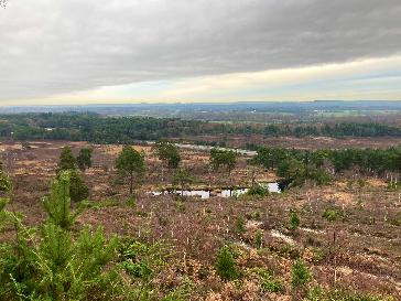 Basingstoke - BBC Weather