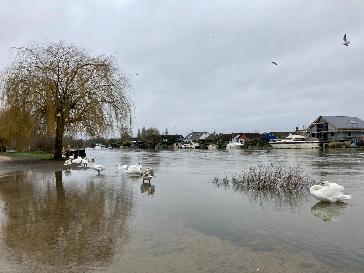 Normandy - BBC Weather