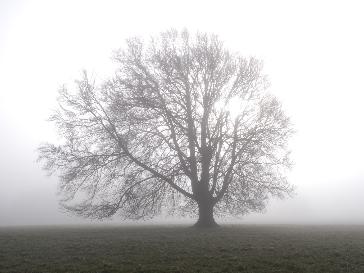 Chatham - BBC Weather