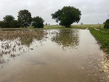 Northampton - BBC Weather