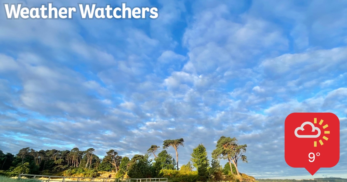 Report - BBC Weather Watchers