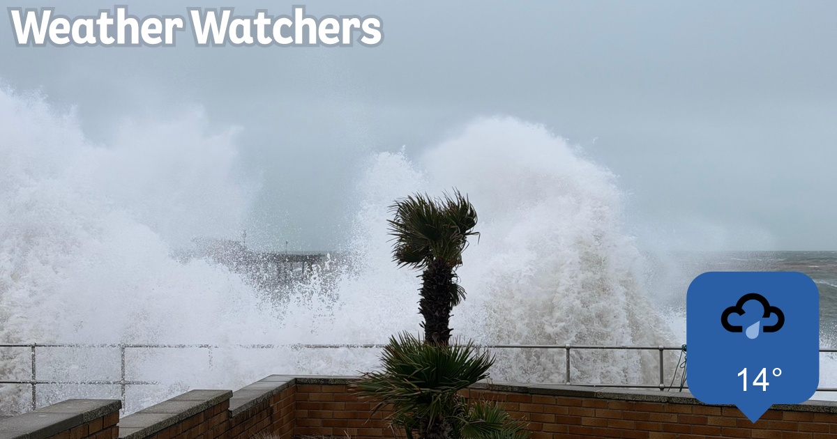 Report - BBC Weather Watchers